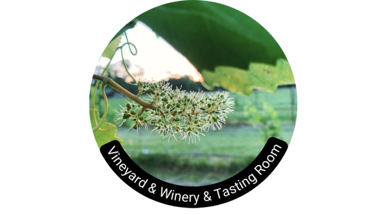 Golden Oak Micro Cellar | Winery & Vineyard, New Waverly TX