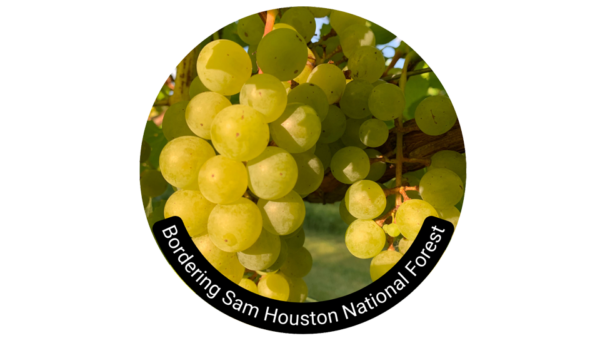 Golden Oak Micro Cellar | Winery & Vineyard, New Waverly TX