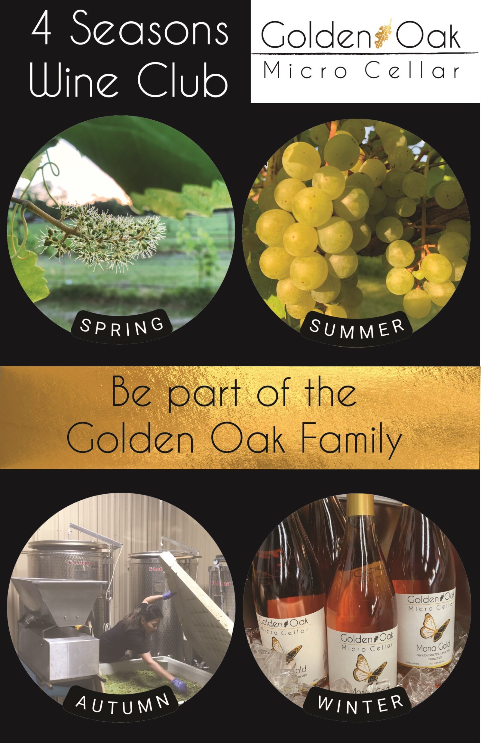 Wine Club-P1-alt | Winery & Vineyard | New Waverly, Texas